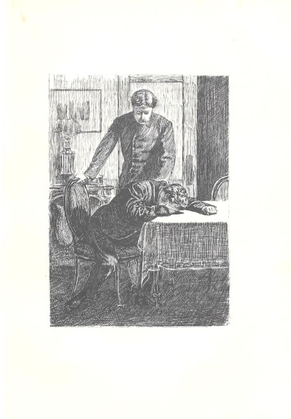 Meredith's LUCILE Illustrated